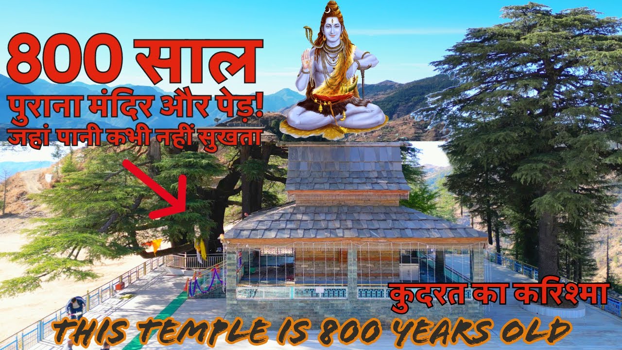 800 YEARS OLD TEMPLE & TREE | SHIRGUL MAHARAJ | TEMPLES OF INDIA ...