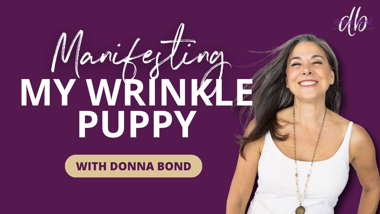Manifesting My Wrinkle Puppy - YouTube