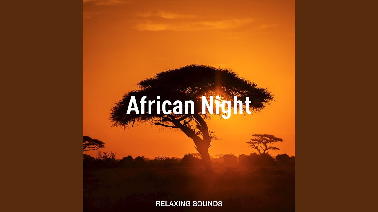 Relaxing Sounds of Africa - YouTube