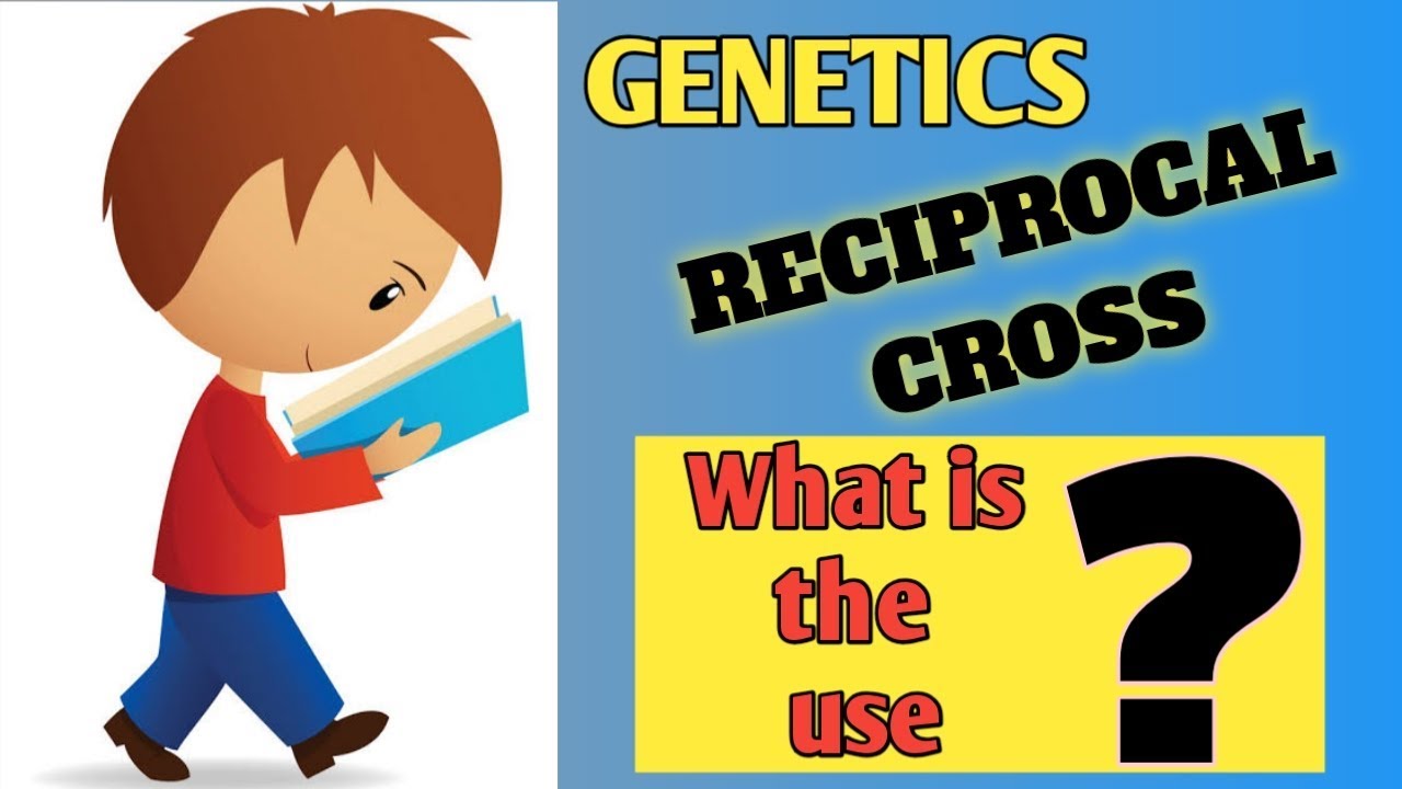 NEET | AIIMS | BIOLOGY | GENETICS | RECIPROCAL CROSS - YouTube