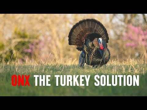 How to Use onX Hunt for Turkey Hunting - YouTube