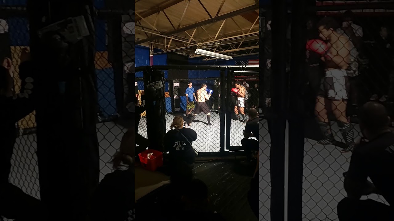 Cage fight pt2 February 22, 2020 - YouTube