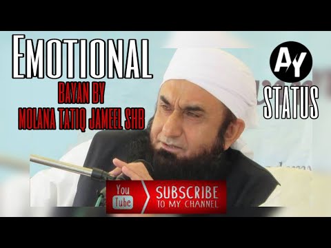 Emotional_bayan_by_molana_tariq jameel shb | ay status