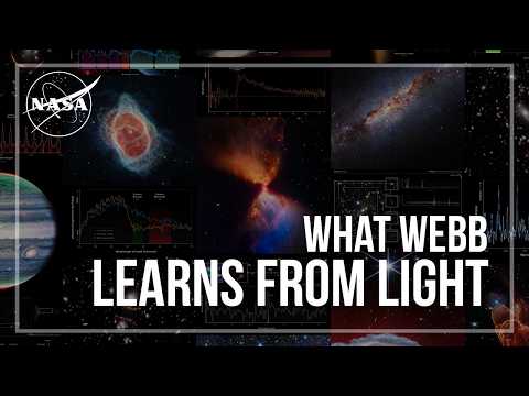What Webb Learns from Light