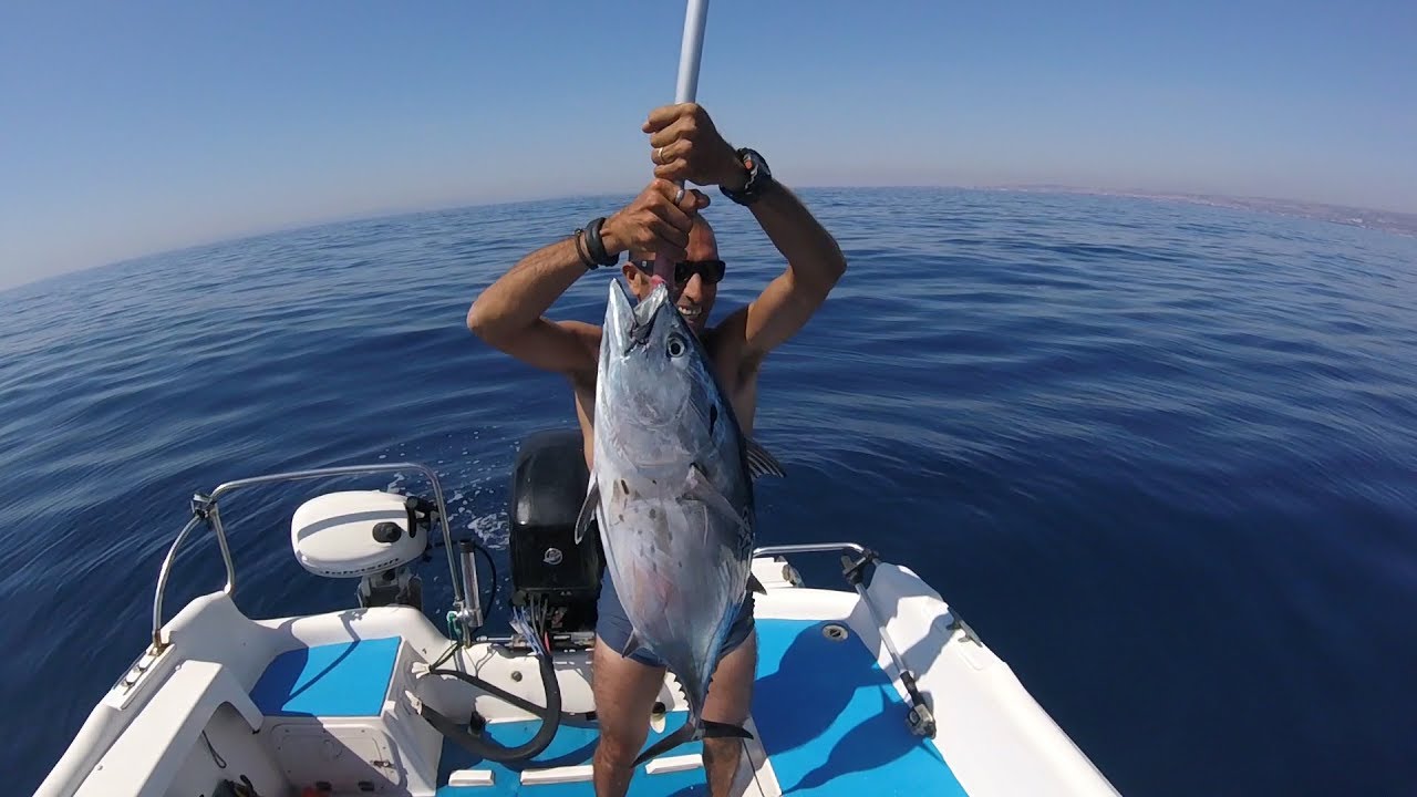 Tonno Alletterato - Traina con artificiale - YouTube