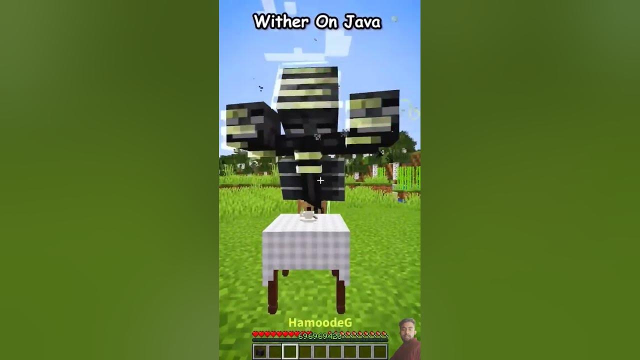 Java Wither VS Bedrock Wither 💀 - YouTube
