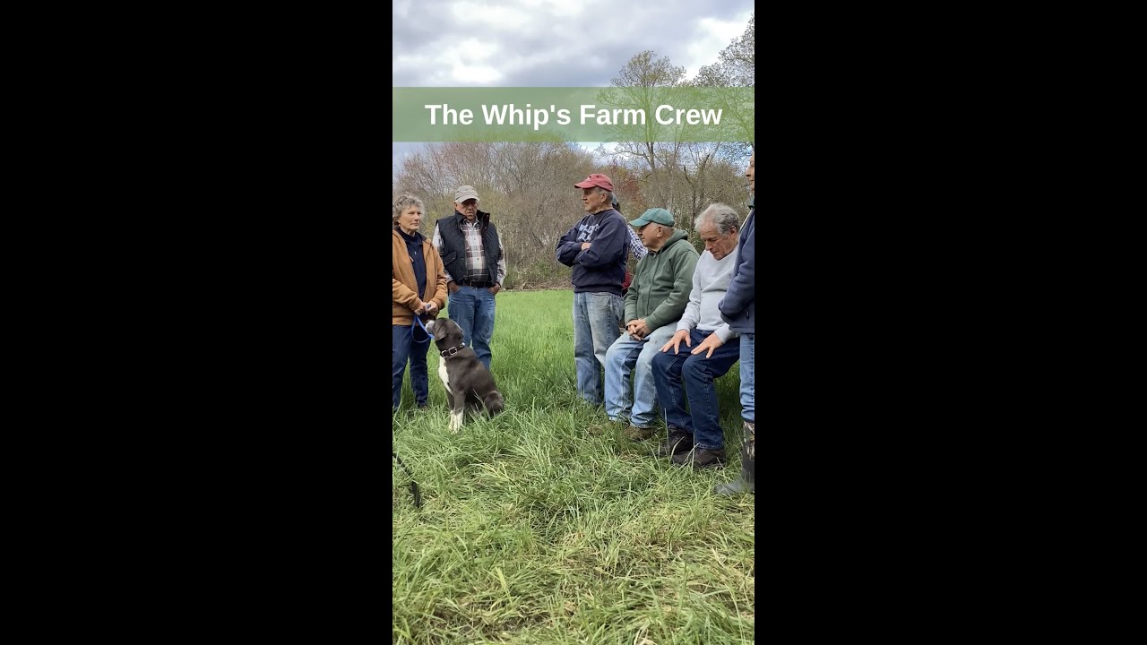 50 Years, 50 People: Whip's Farm - YouTube