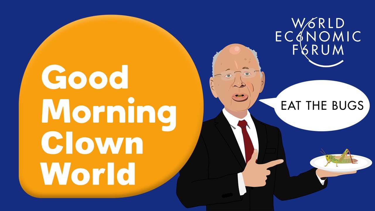 Good Morning Clown World, Vol. 54 - YouTube