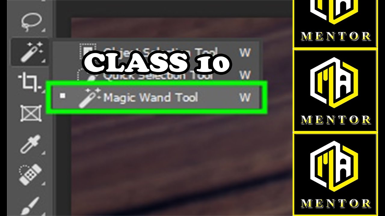 How to Make Selection With Magic Wand Tool in Photoshop | Class 10 ...