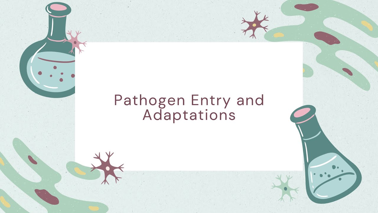 Pathogen Entry and Adaptations - YouTube