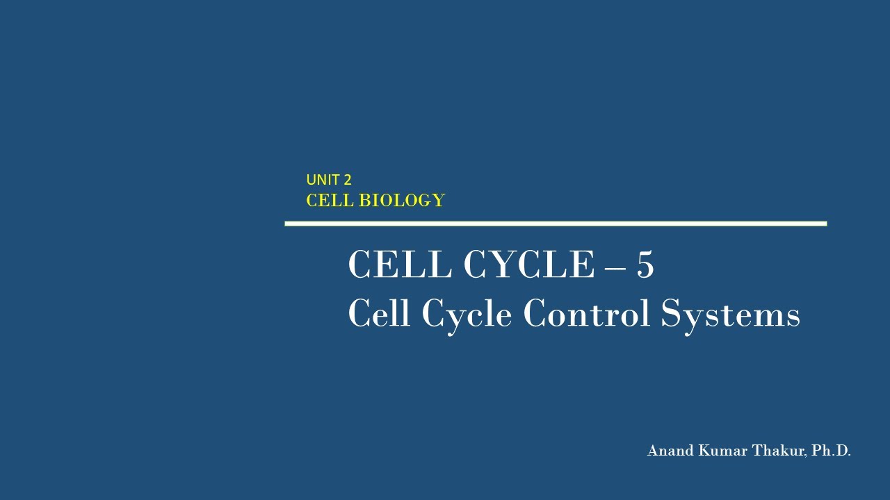 CELL CYCLE -5 - YouTube