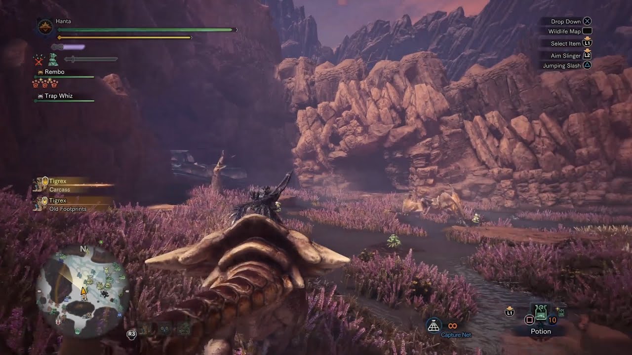 Trying to tame Apceros, ends up fighting Tigrex || Monster Hunter World ...