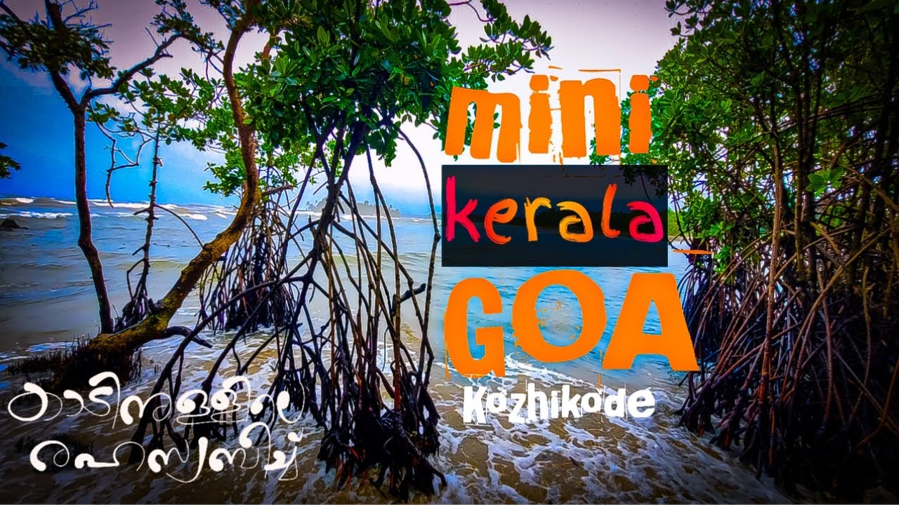 കാടിനുള്ളിൽ മറഞ്ഞിരിക്കുന്ന ഒരു കടൽതീരം:കേരളത്തിലെ മിനി ഗോവ, KOLAVI ...
