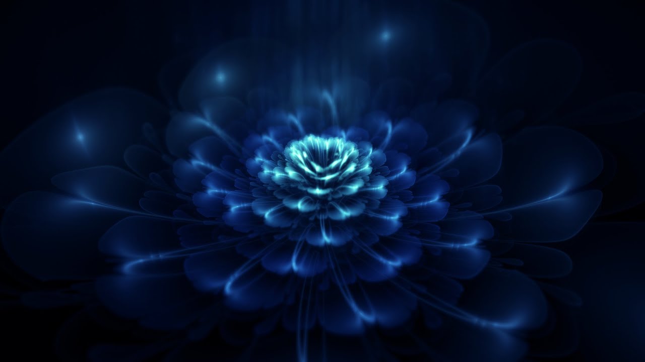 cygnus「Moon Flower」 - YouTube