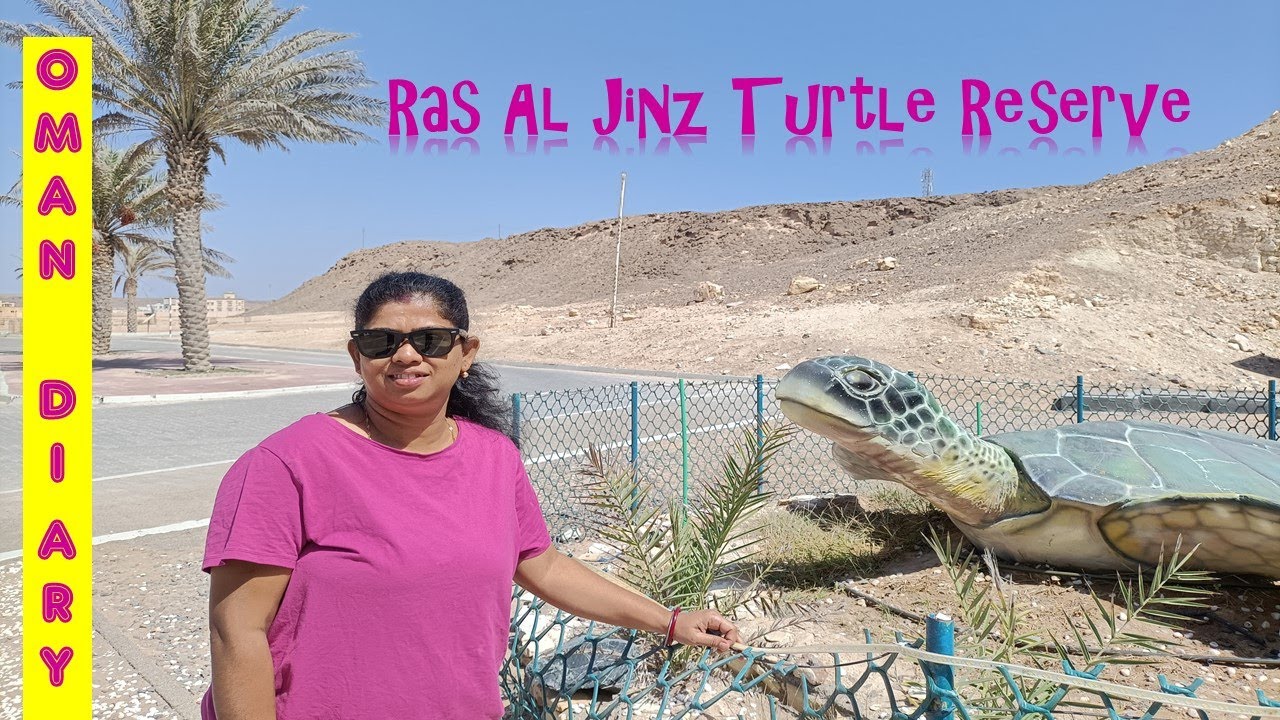 Ras Al Jinz Turtle Reserve || Oman Biodiversity || Green Turtle || Oman ...