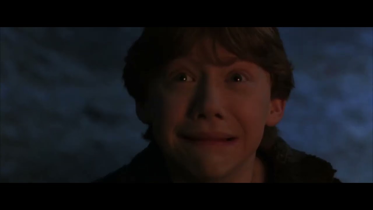 Harry Potter Meets Aragog the Spider in Harry Potter and the Chamber of ...