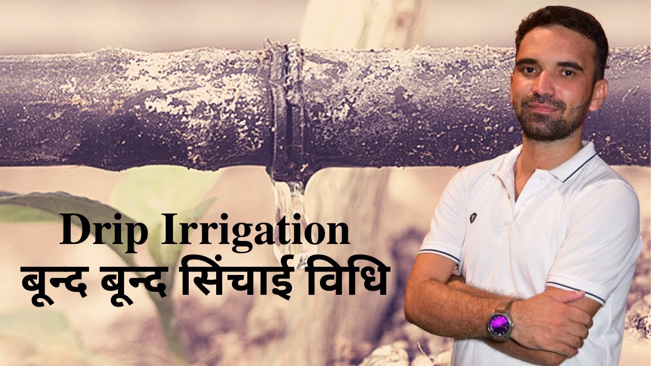 Drip Irrigation/Trickle Irrigation/Micro Irrigation for AFO, AO, ADO ...