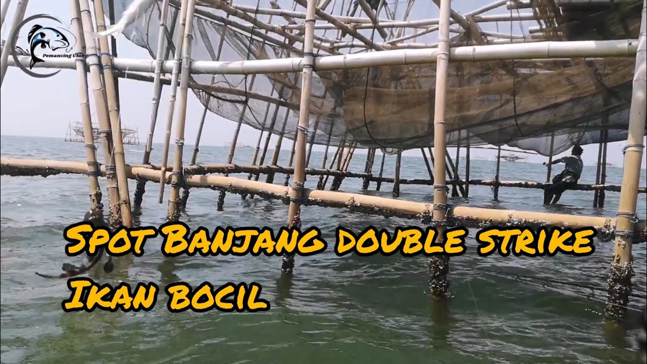 Spot Banjang Double Strike iwak Bocil #mancing #mancingmania - YouTube