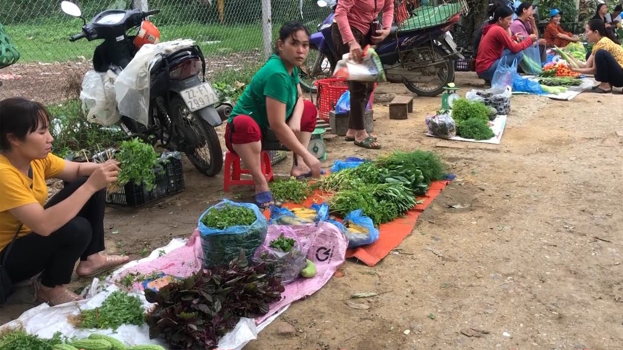 Harvest fruit and bring it to market to sell. Smallest rural market in ...