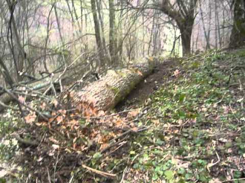 Freza Imt 509 i vitlo - YouTube