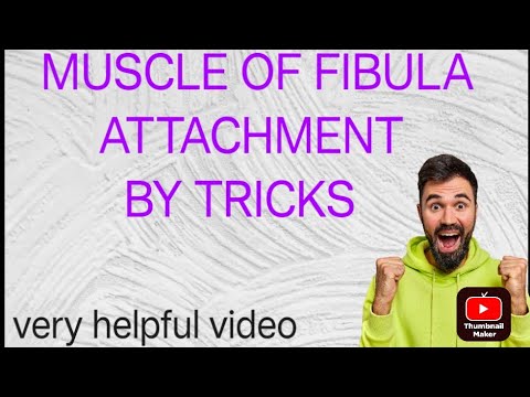 Muscle Attachment on Fibula bone by tricks#medical #anatomy # ...