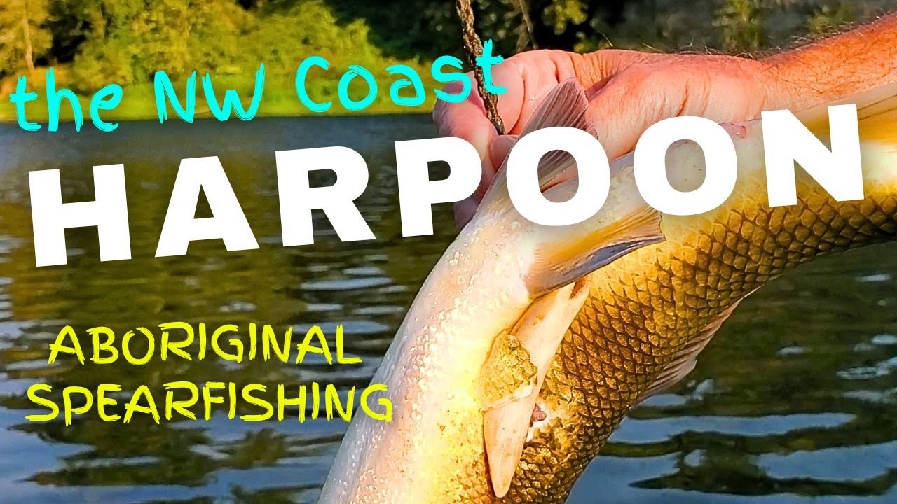 Spearfishing with NW Coast/Inuit Harpoon - YouTube