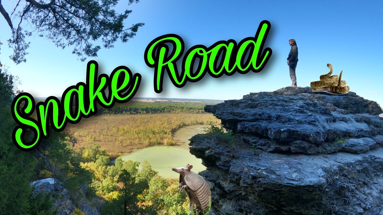 Snake Road Migration 2022 | Shawnee National Forest - YouTube