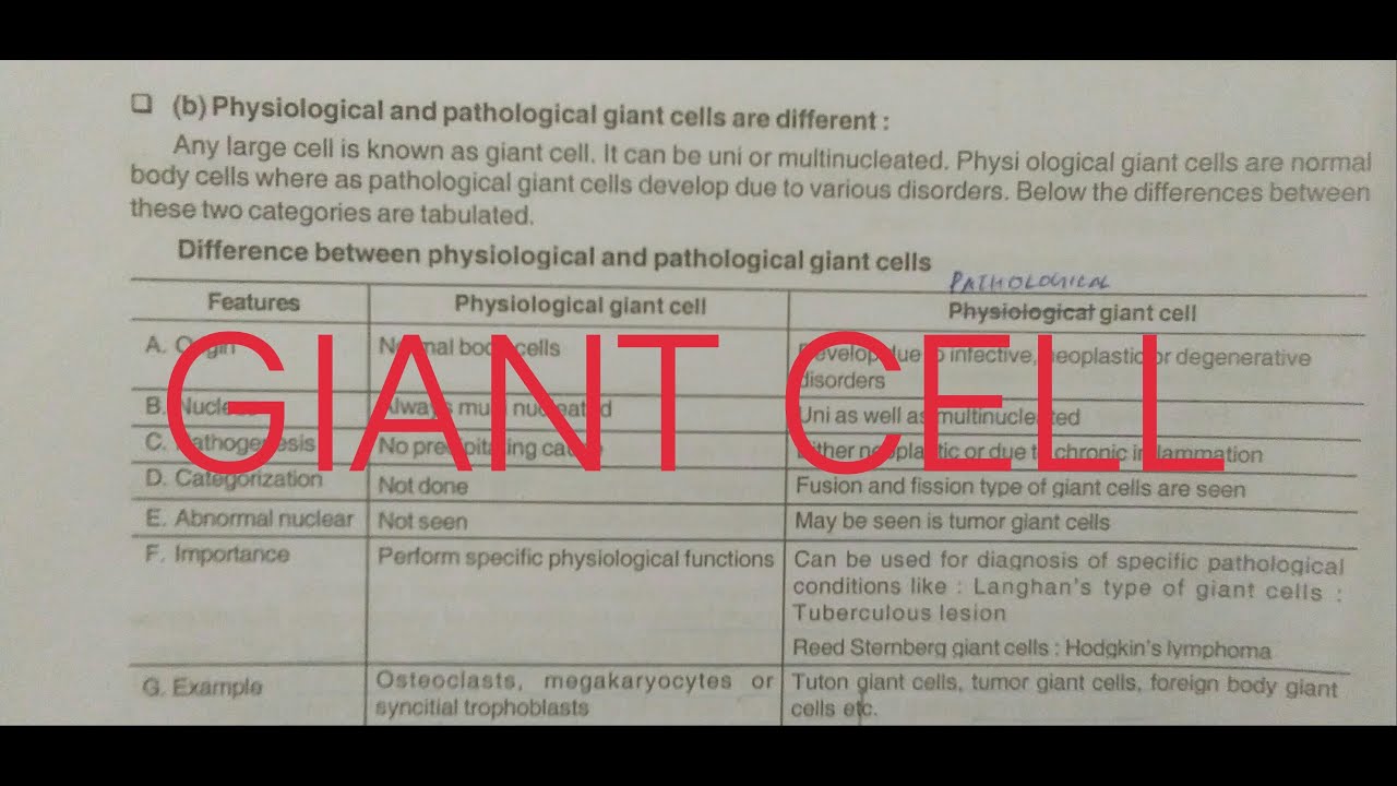 Giant cells| Difference between pathological and physiological giant ...