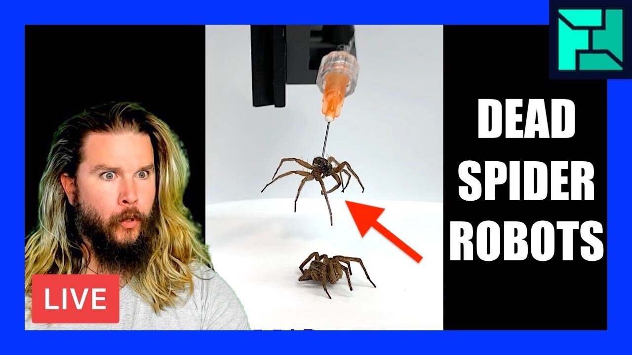 🔴 How to turn dead spiders into robots! | [OFFICE HOURS] Podcast 097 ...