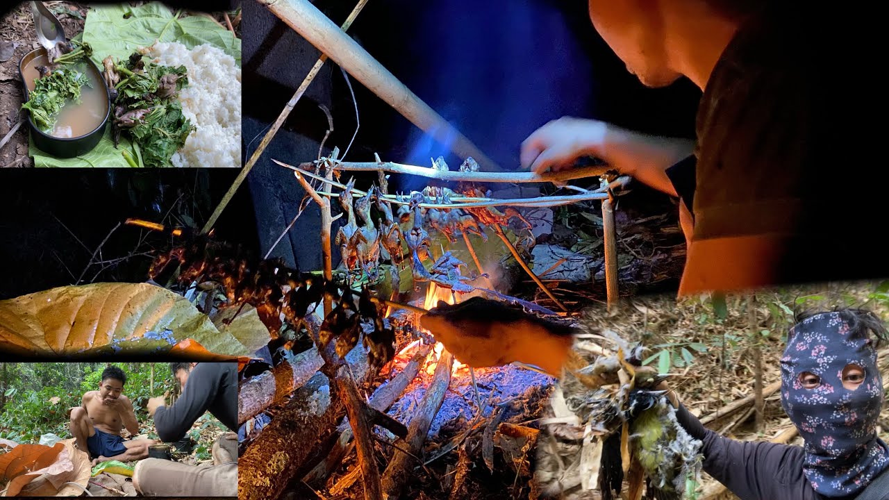 Trap | Cook | Eat jungle Birds - YouTube