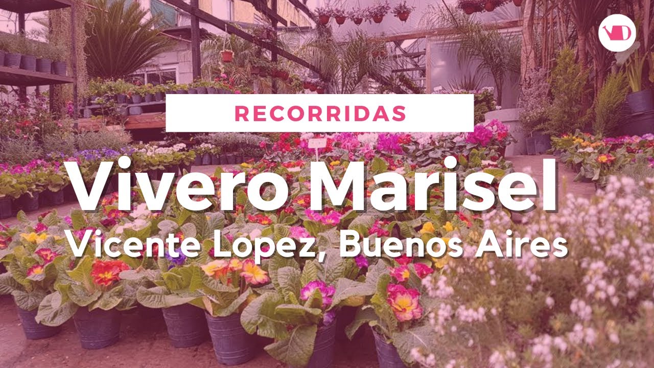 Descubriendo Vivero Marisel: Historia y Consejos de Jardinería - YouTube