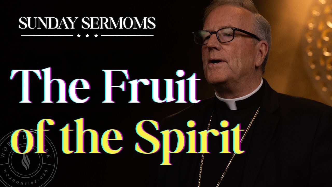 The Fruit of the Spirit: Cultivating a Christ-Like Life – Bishop Barron ...