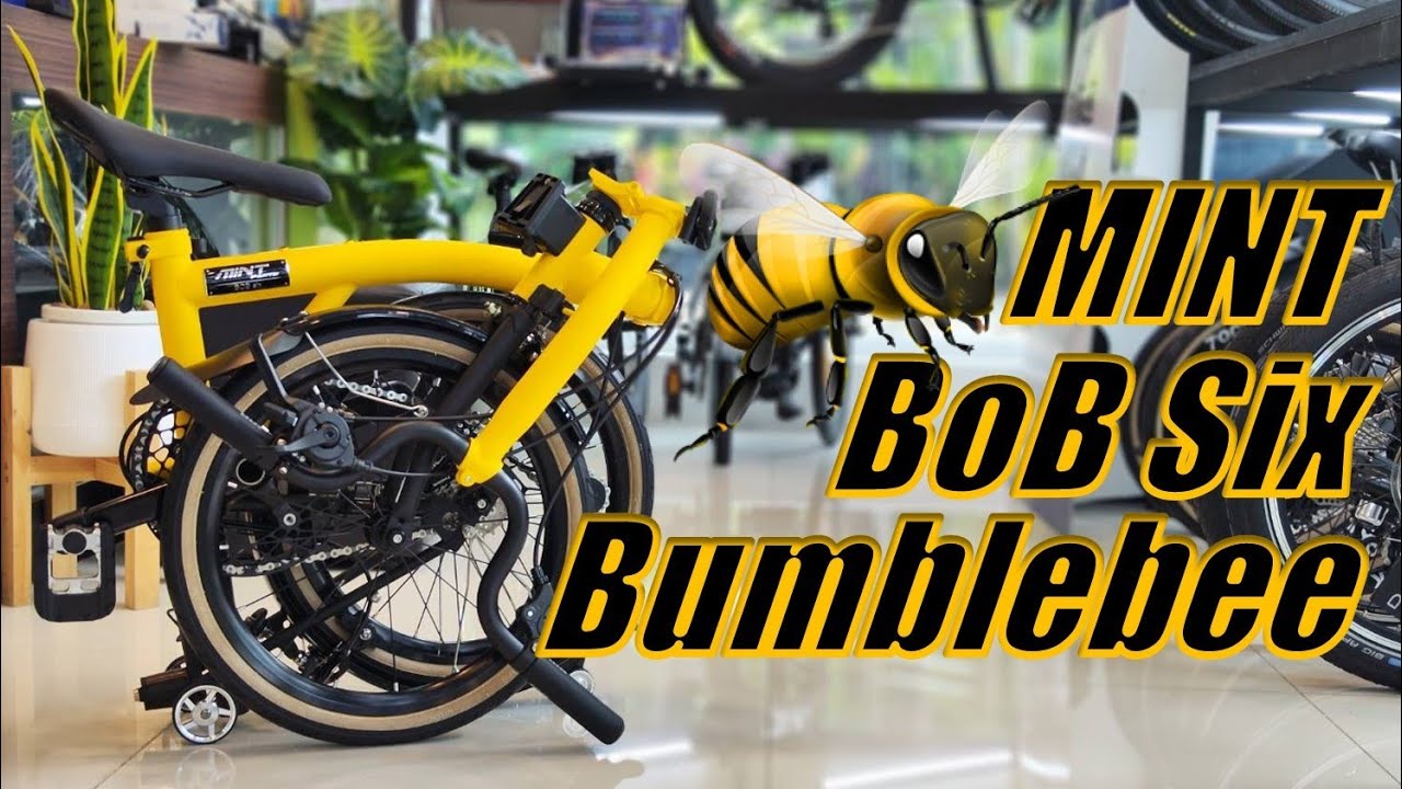ตัวจริงมาแล้ว!!! Mint BoB Six Bumblebee Exclusive สวยมากกก! - YouTube