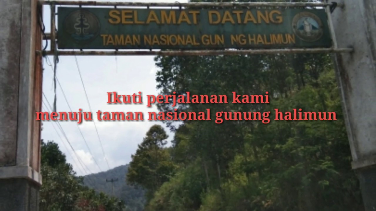 Perjalanan Menuju Cikaniki Research Station Taman Nasional Gunung ...