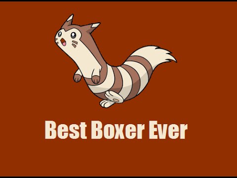 POKEMON SHOWDOWN [STRATS] [TRICKY BOXER] - YouTube