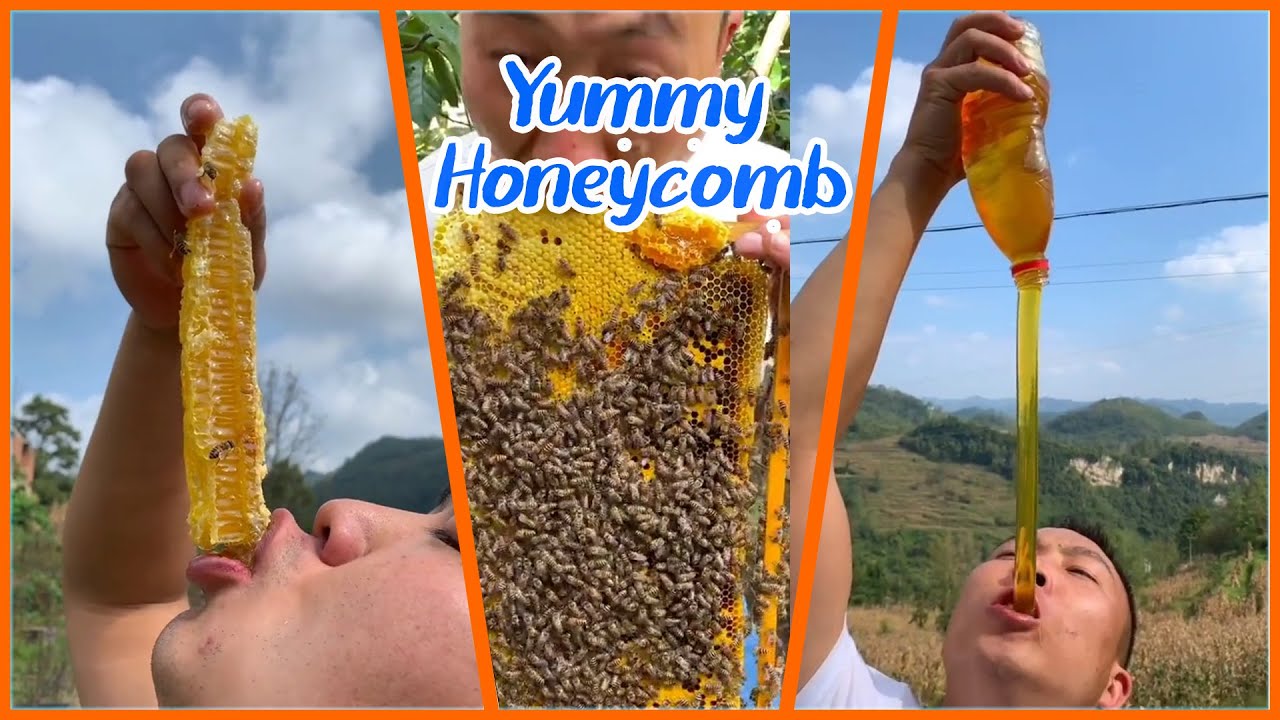 ABS Honey BEE | Best HoneyComb Eating ASMR | Eating Videos🎖️21 - YouTube
