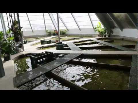 How Does The Green Power House Work