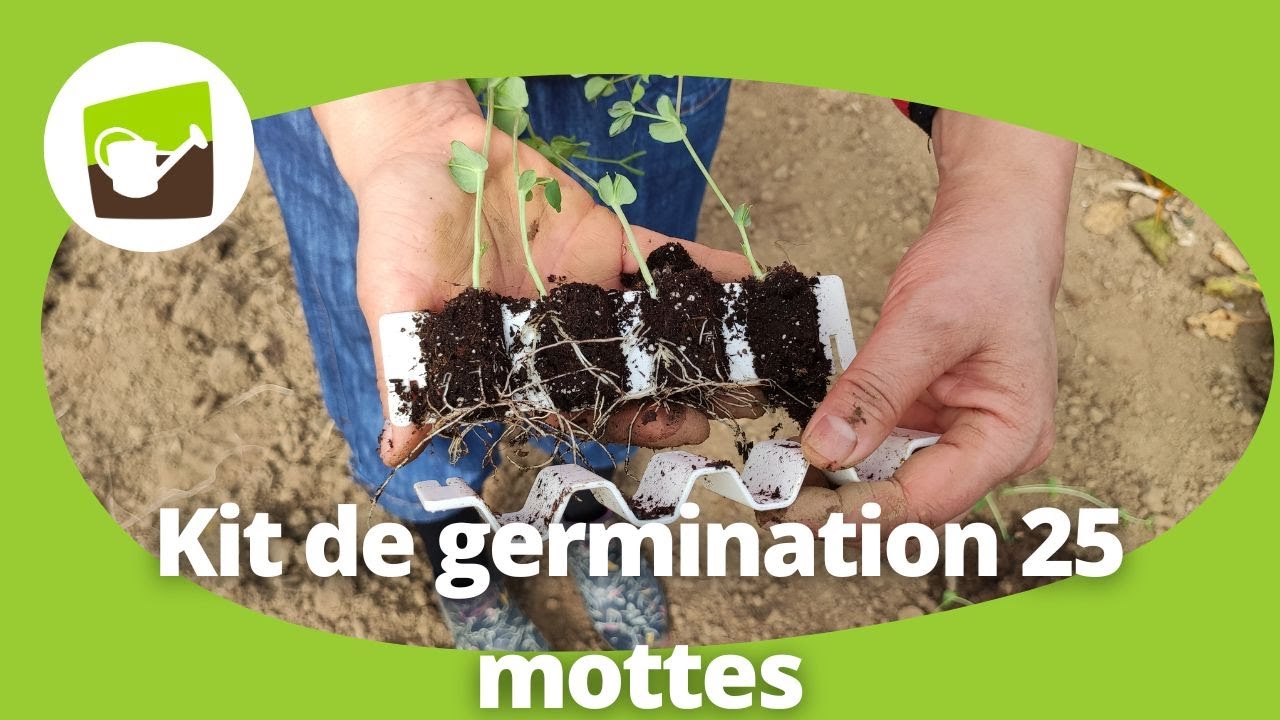 Comment utiliser le kit de germination 25 mottes ? - YouTube