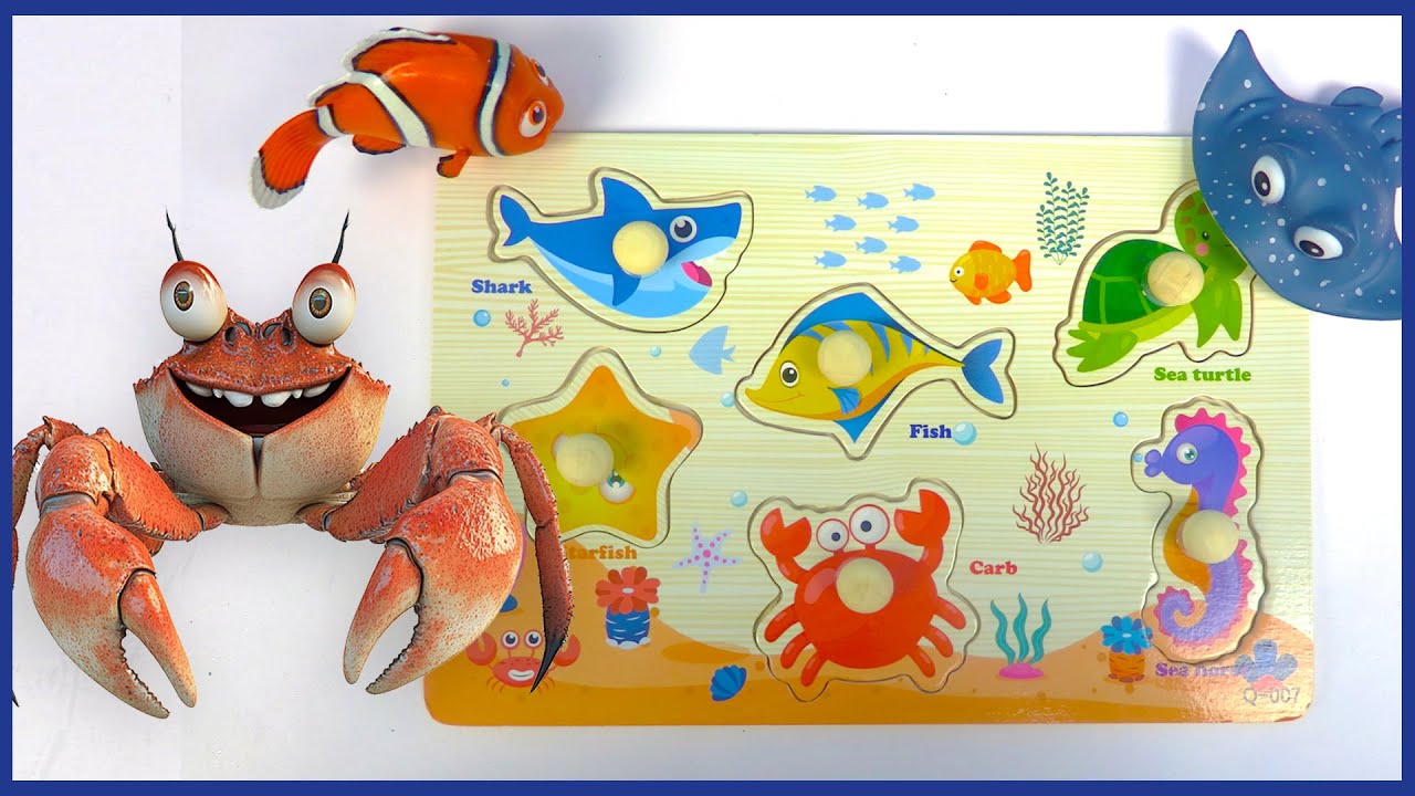 Apprendre les Animaux Marins en Anglais 🇺🇸 Pâte à Modeler - YouTube