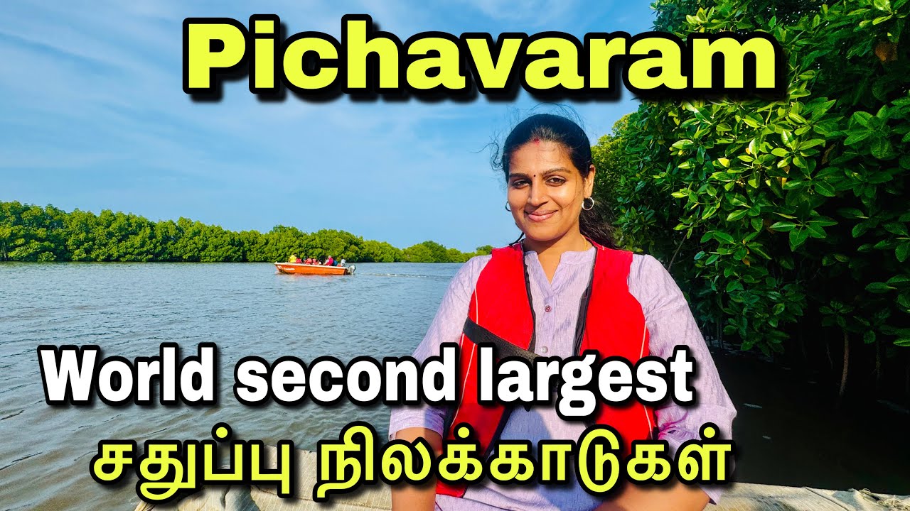 PICHAVARAM- The Mangroove Forest | Must Visit Place in Tamilnadu ...