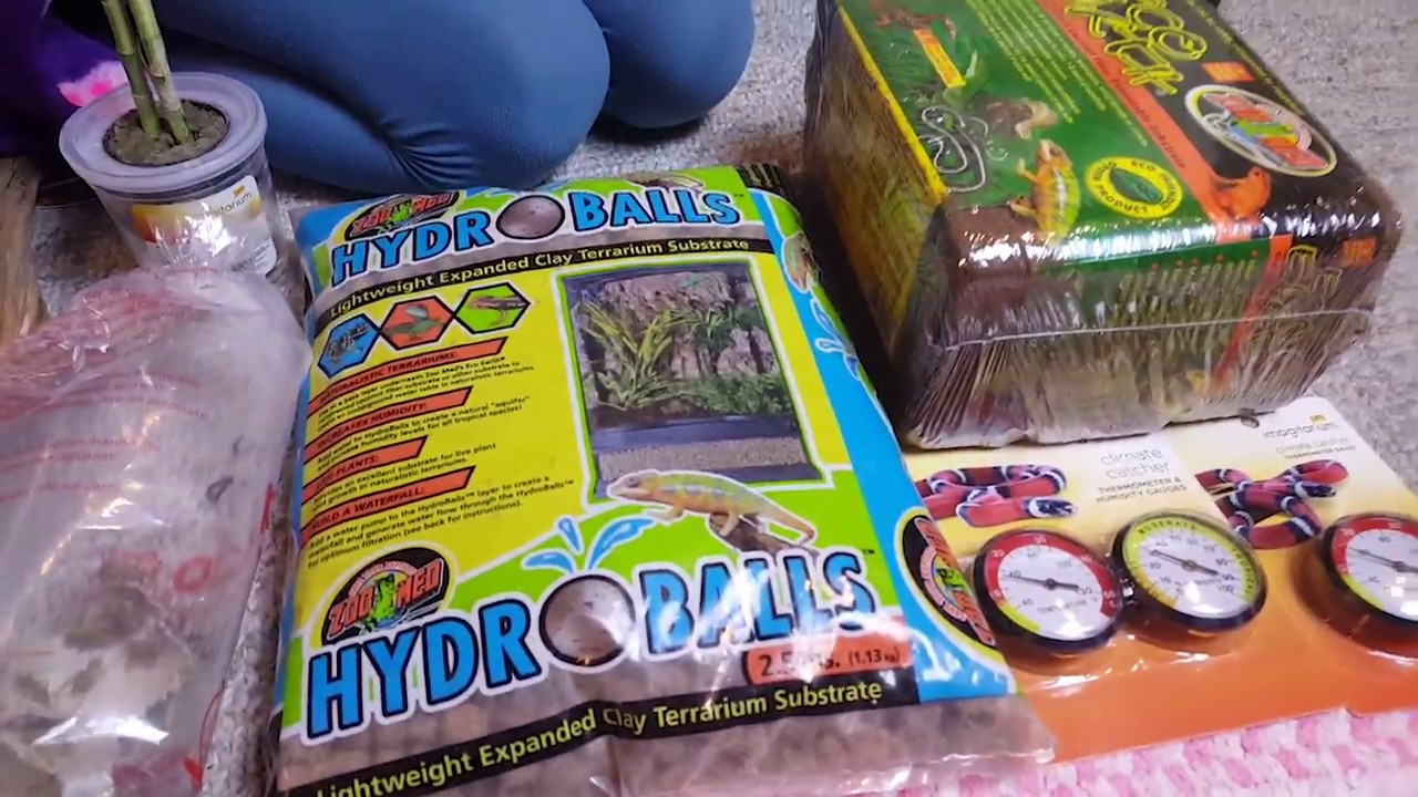 Chinese Water Dragon Tank Setup - Part 1 - YouTube