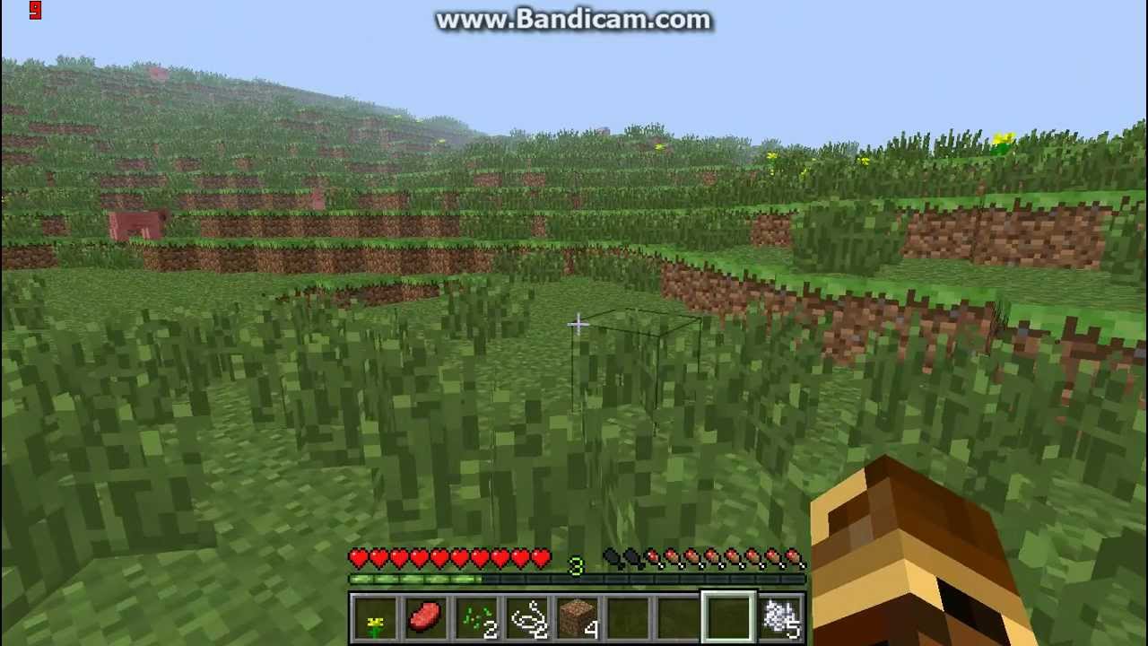 Legendary Golden Wool Part 4 - YouTube