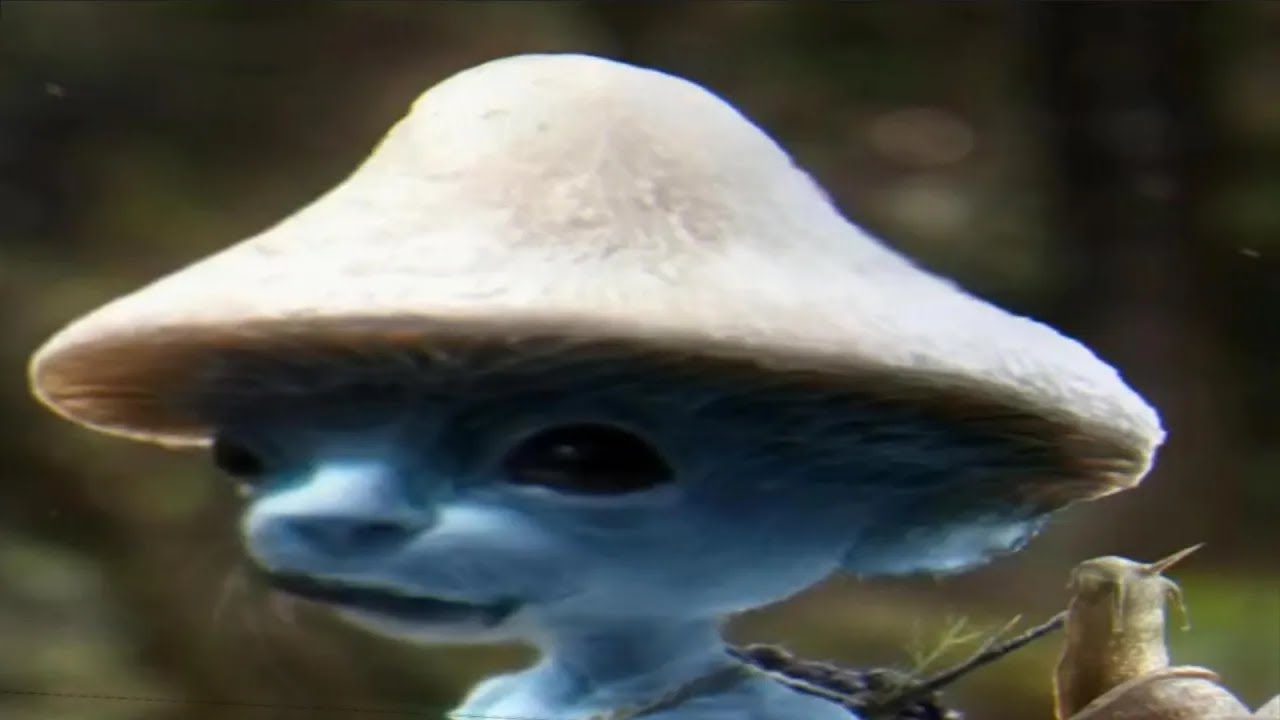 BLUE SMURF CAT SINGS WE LIVE WE LOVE WE LIE - YouTube