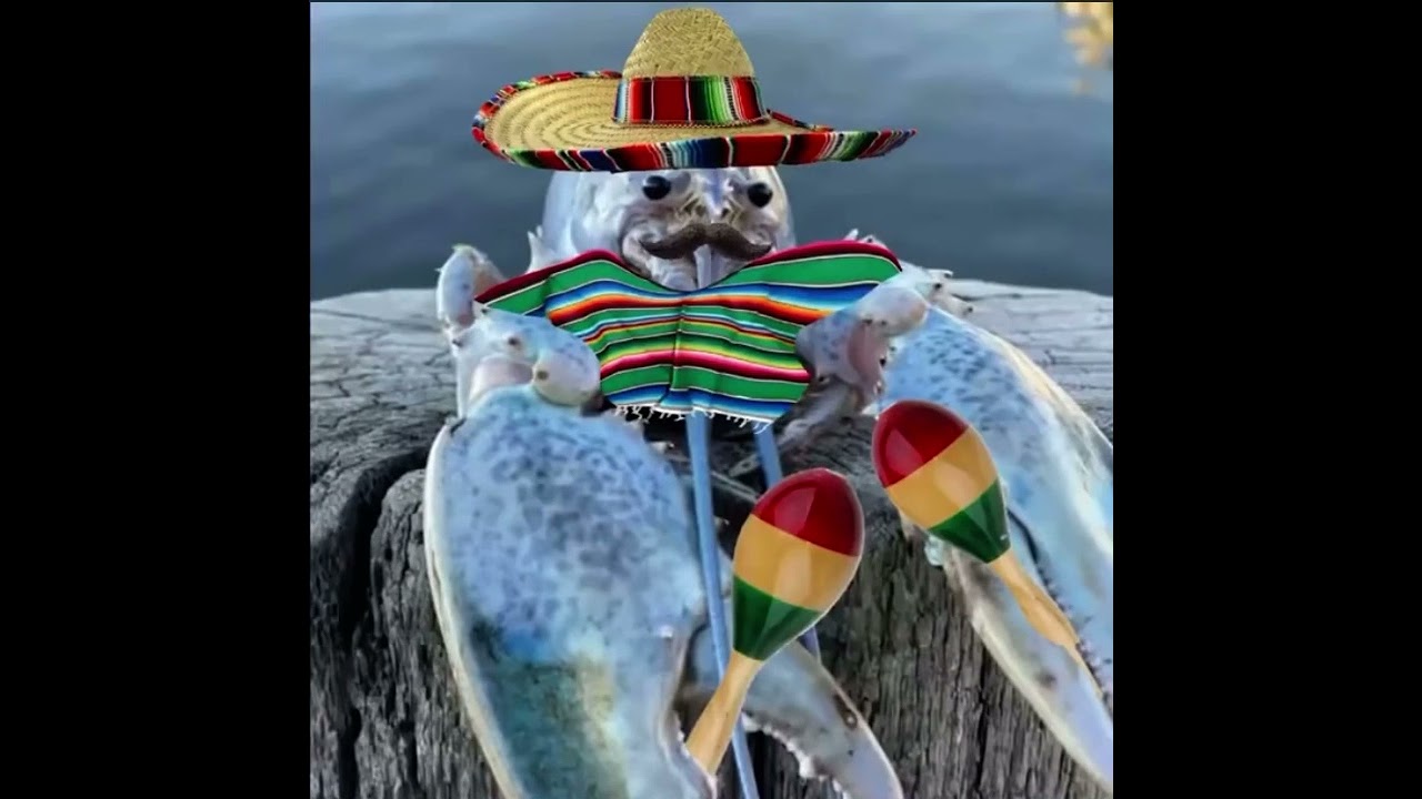 Mexican blue lobster meme - YouTube