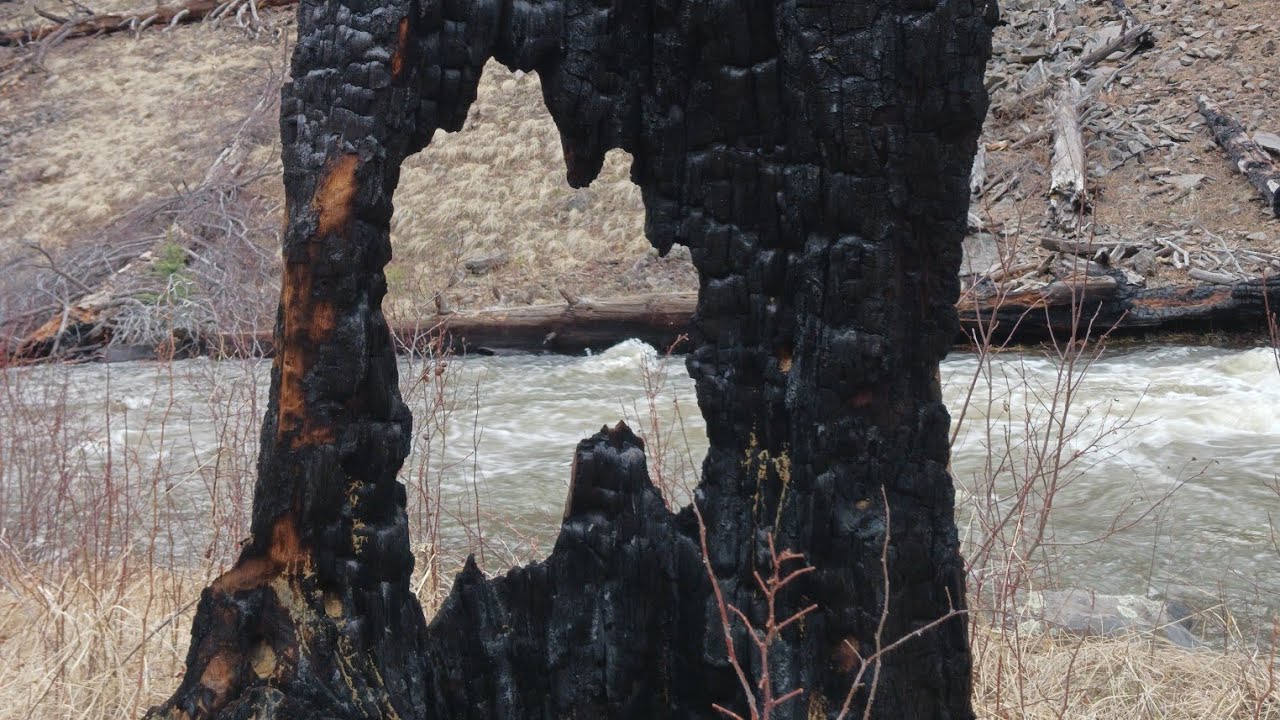 EXPLORING GREER, AZ. THE LITTLE COLORADO RIVER!! - YouTube