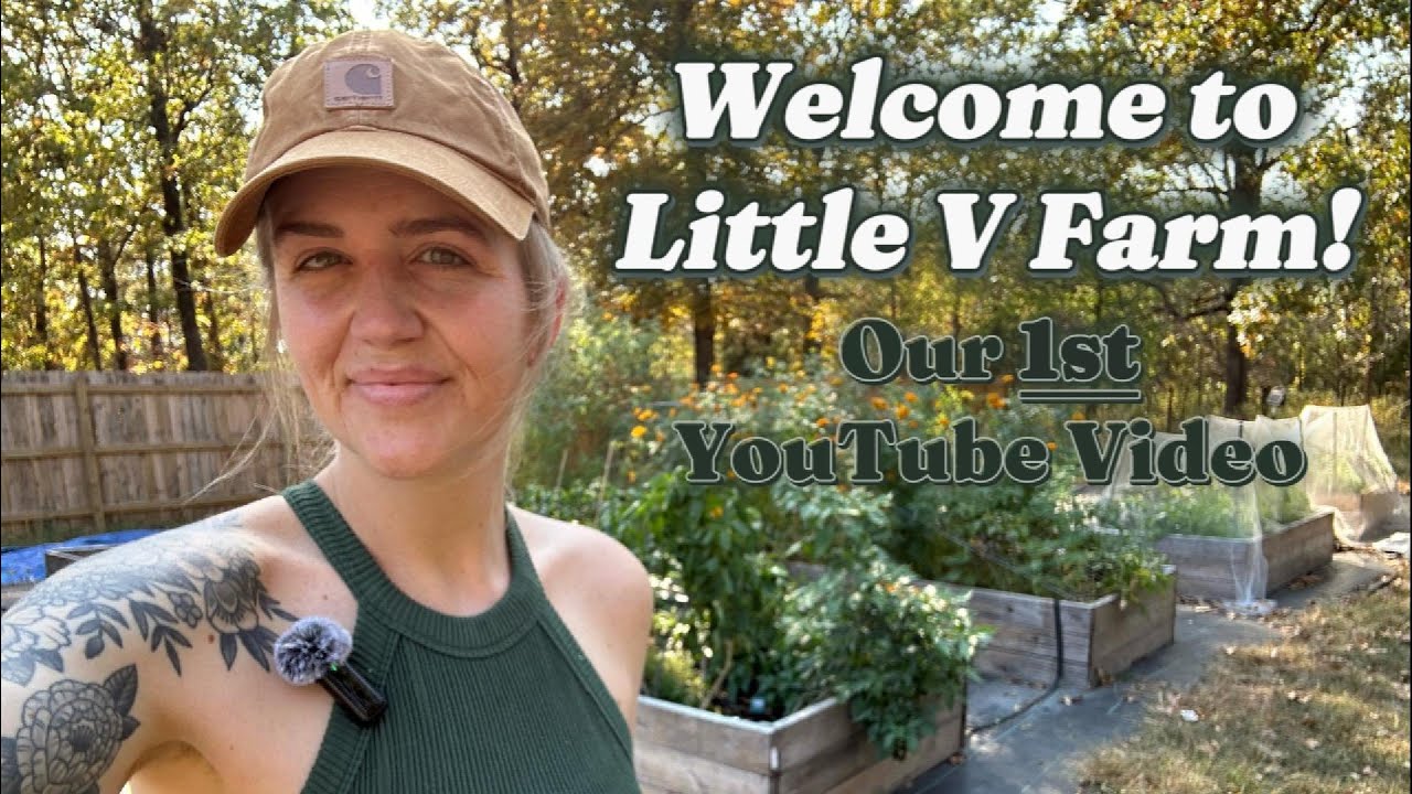 Welcome to Little V Farm! Come watch our FIRST YouTube Video - YouTube