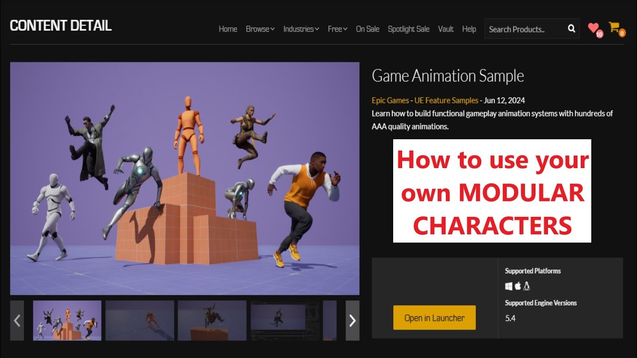 Unreal Engine 5 - Game Animation Sample Project (Using you're own ...