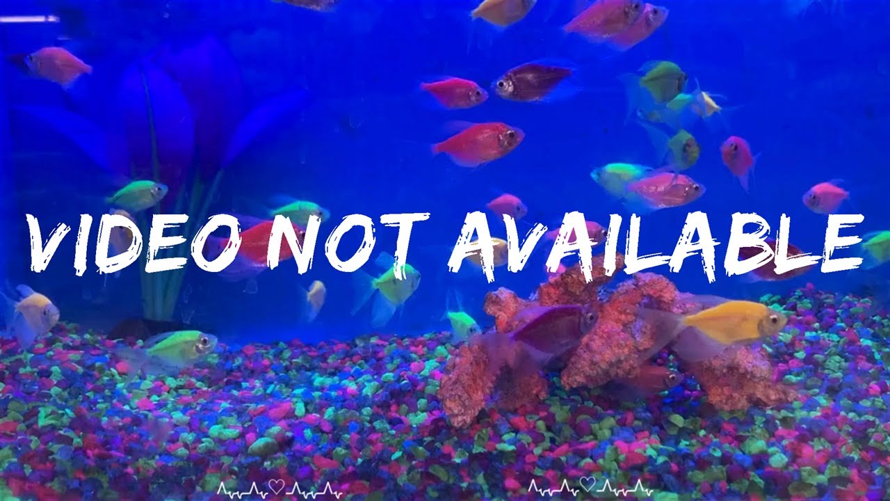 Koe Wetzel - Damn Near Normal (Lyrics) || Maxwell Music - YouTube