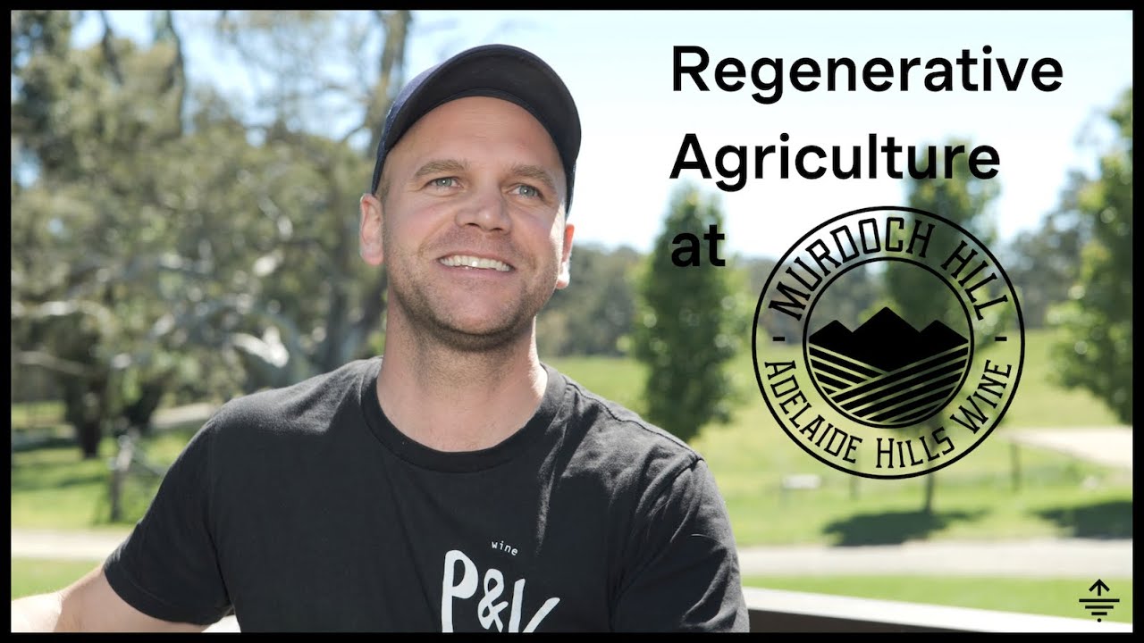 Building soil in vineyard via regenerative agriculture and the 'Grazing ...