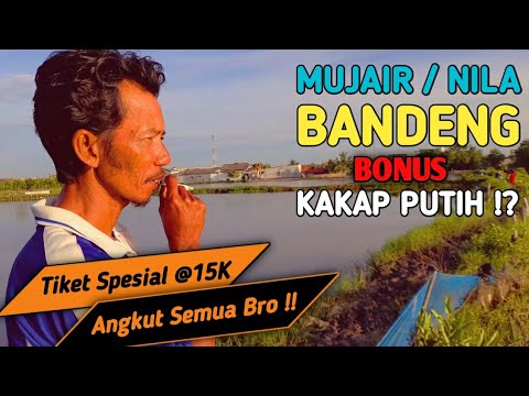 TIKET MANCING SPESIAL ! 15K ANGKUT SEMUA - YouTube